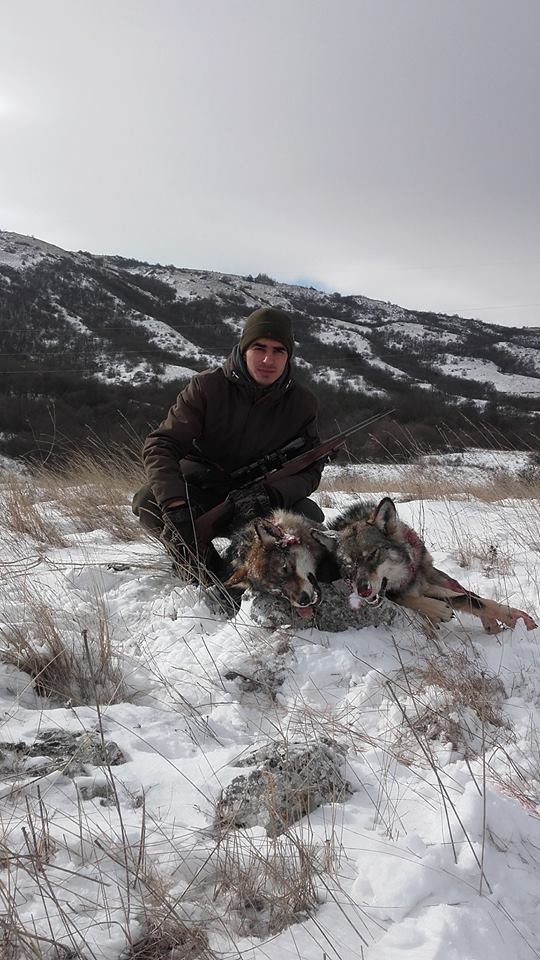 PRIČA Krenuli u lov na lisicu, nabasali na čopor vukova - Lovci Balkana